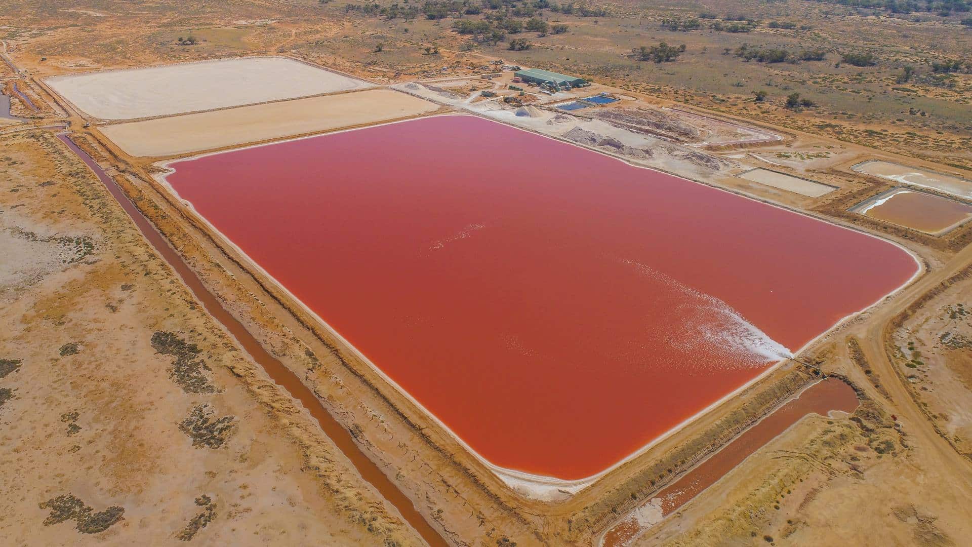 Sustainability and The Environment - Protecting Our Environment